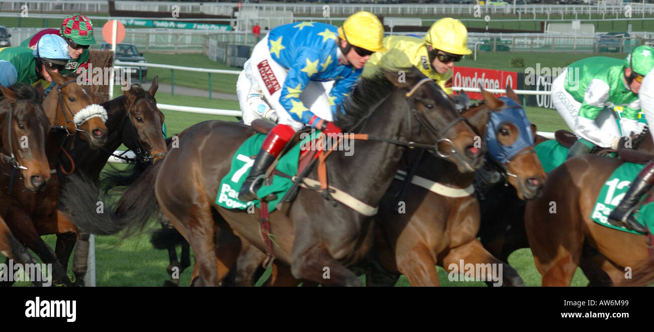 National Hunt horse race Stock Photo - Alamy