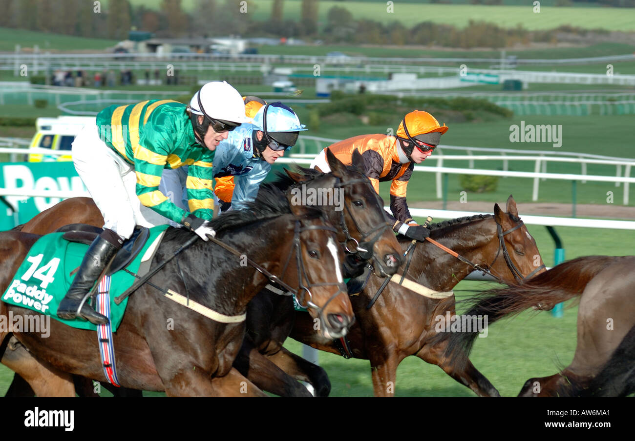 Horserace festival hi-res stock photography and images - Alamy