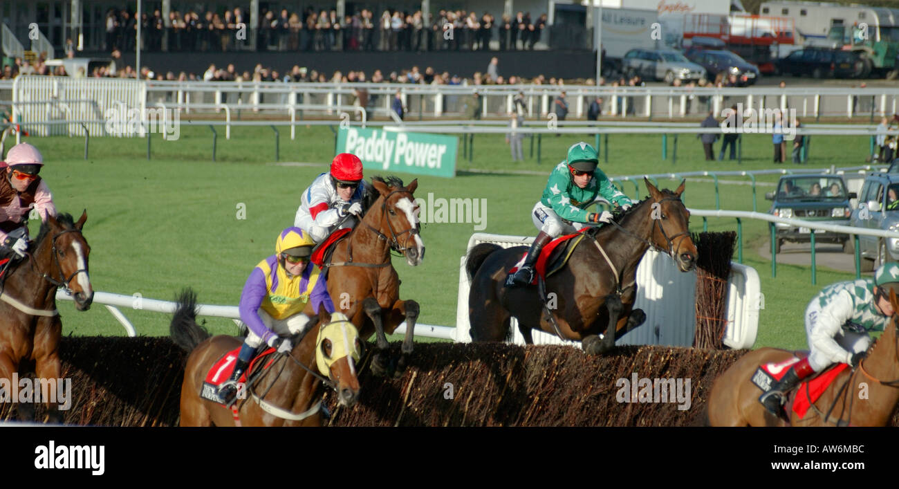 National Hunt horse race Stock Photo - Alamy