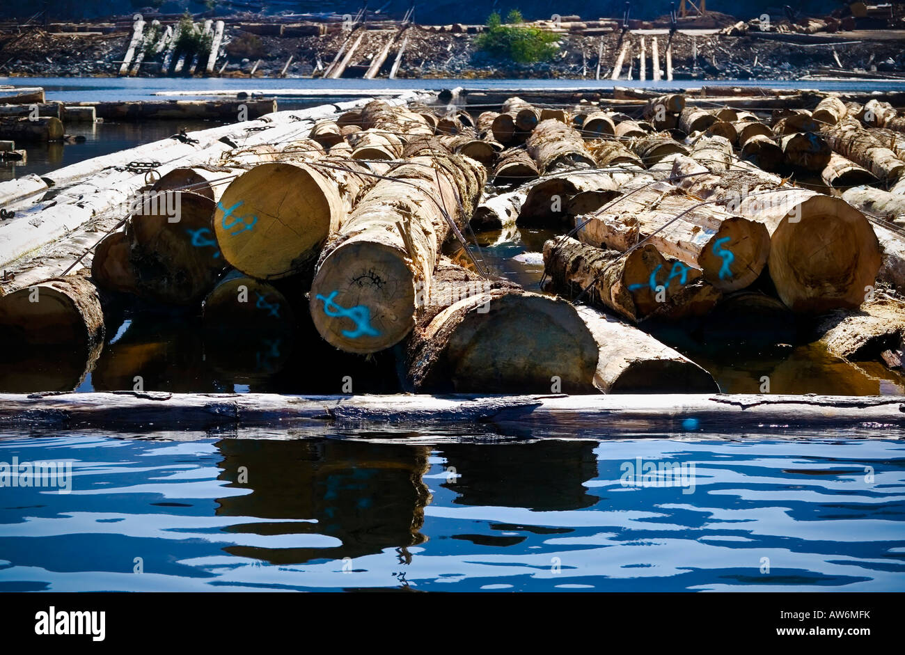 Log Driving High Resolution Stock Photography and Images - Alamy