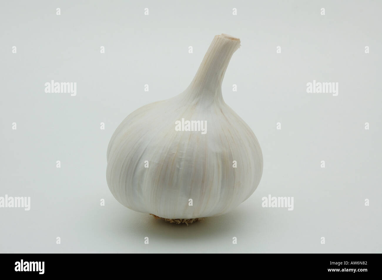 Garlic bulb on white background Stock Photo - Alamy