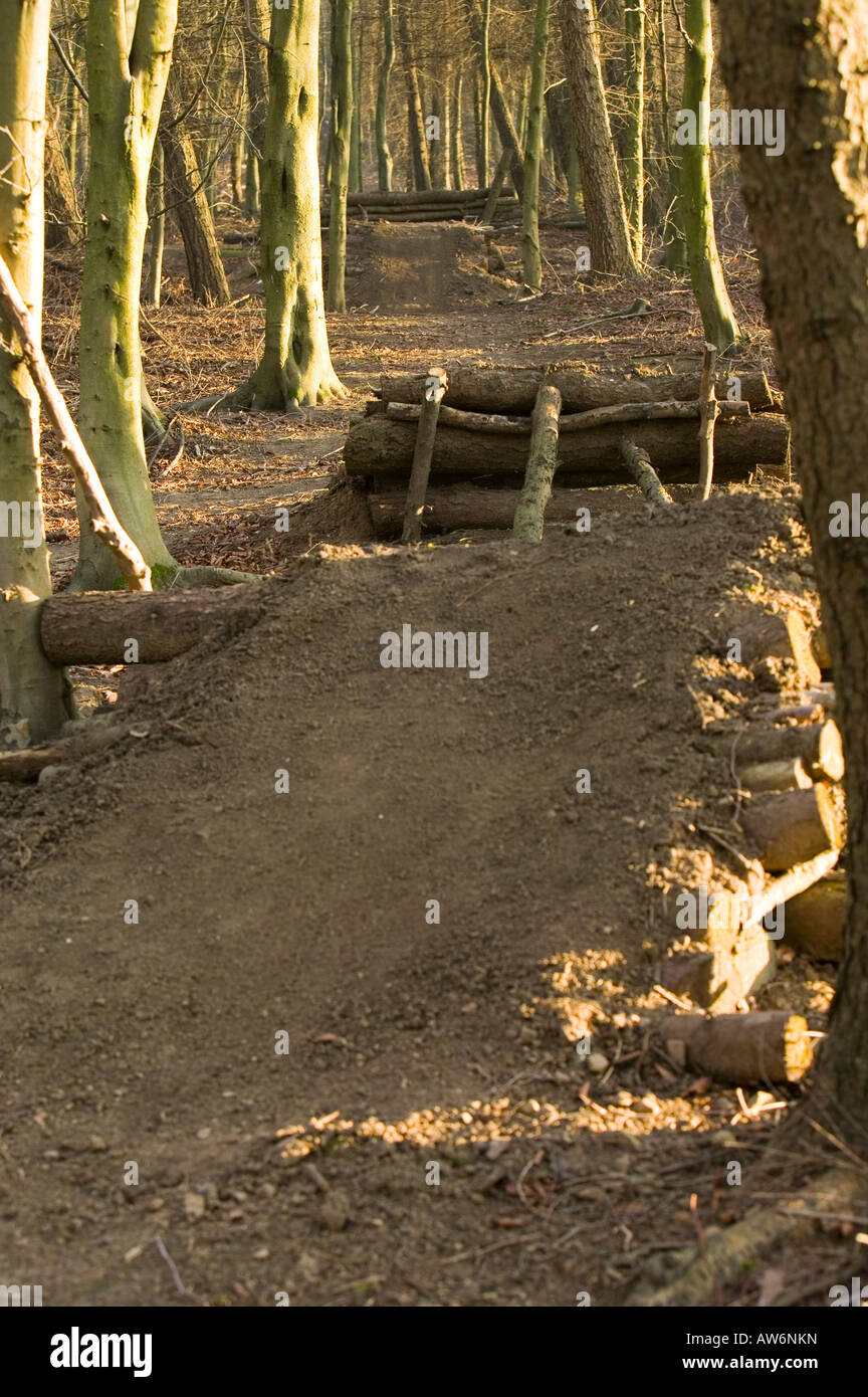 A home made BMX bike track in woodland UK Stock Photo - Alamy