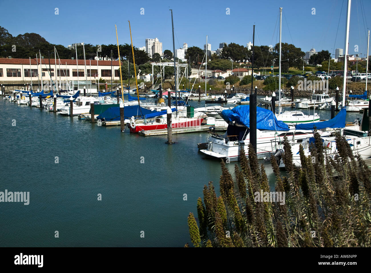 Fort Mason and Bay San Francisco, California, USA Stock Photo - Alamy