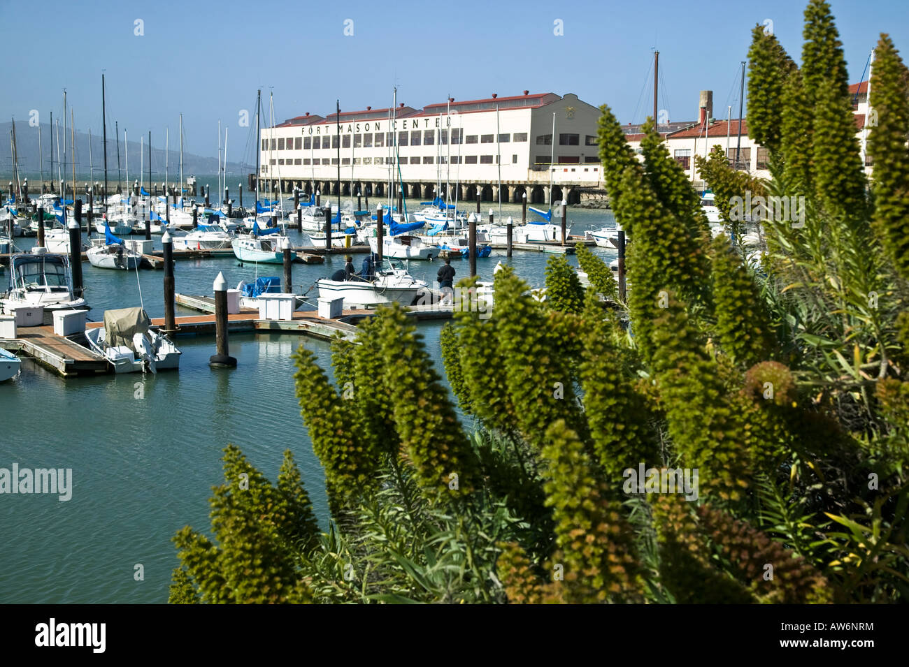 Fort Mason and Bay San Francisco, California, USA Stock Photo - Alamy