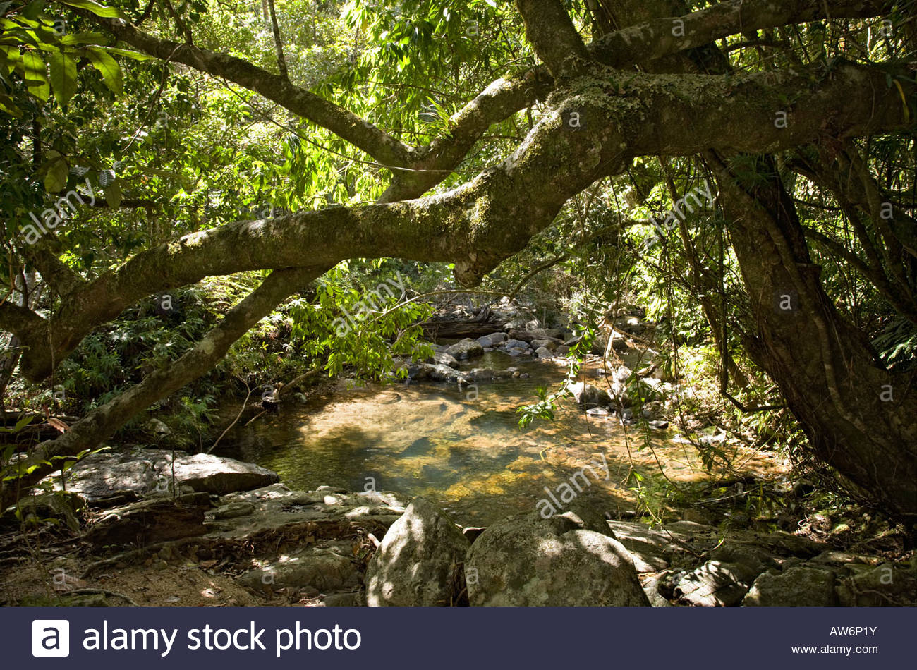 Paluma Range National Park Stock Photos & Paluma Range National Park ...