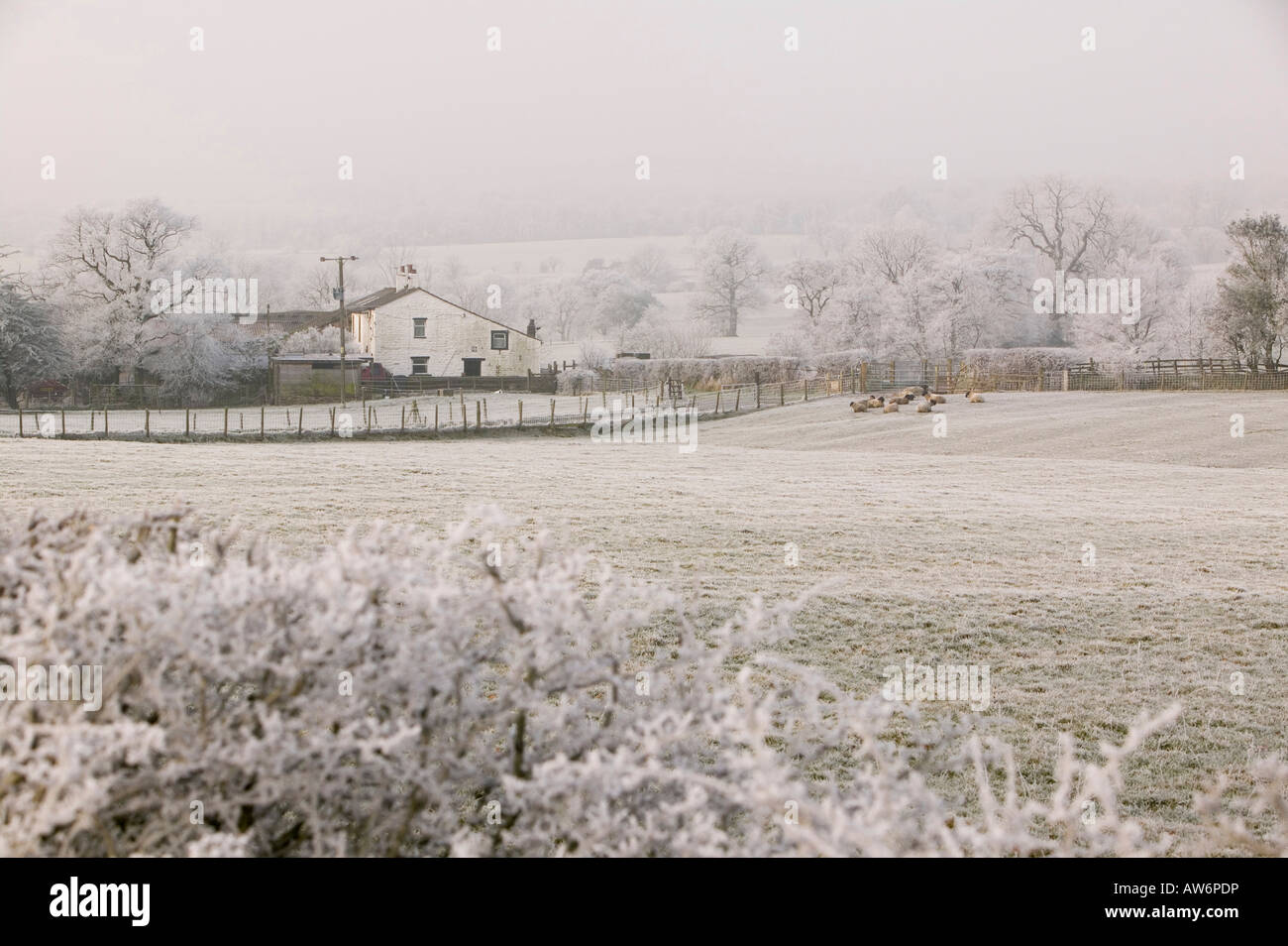 Clitheroe in winter hi-res stock photography and images - Alamy