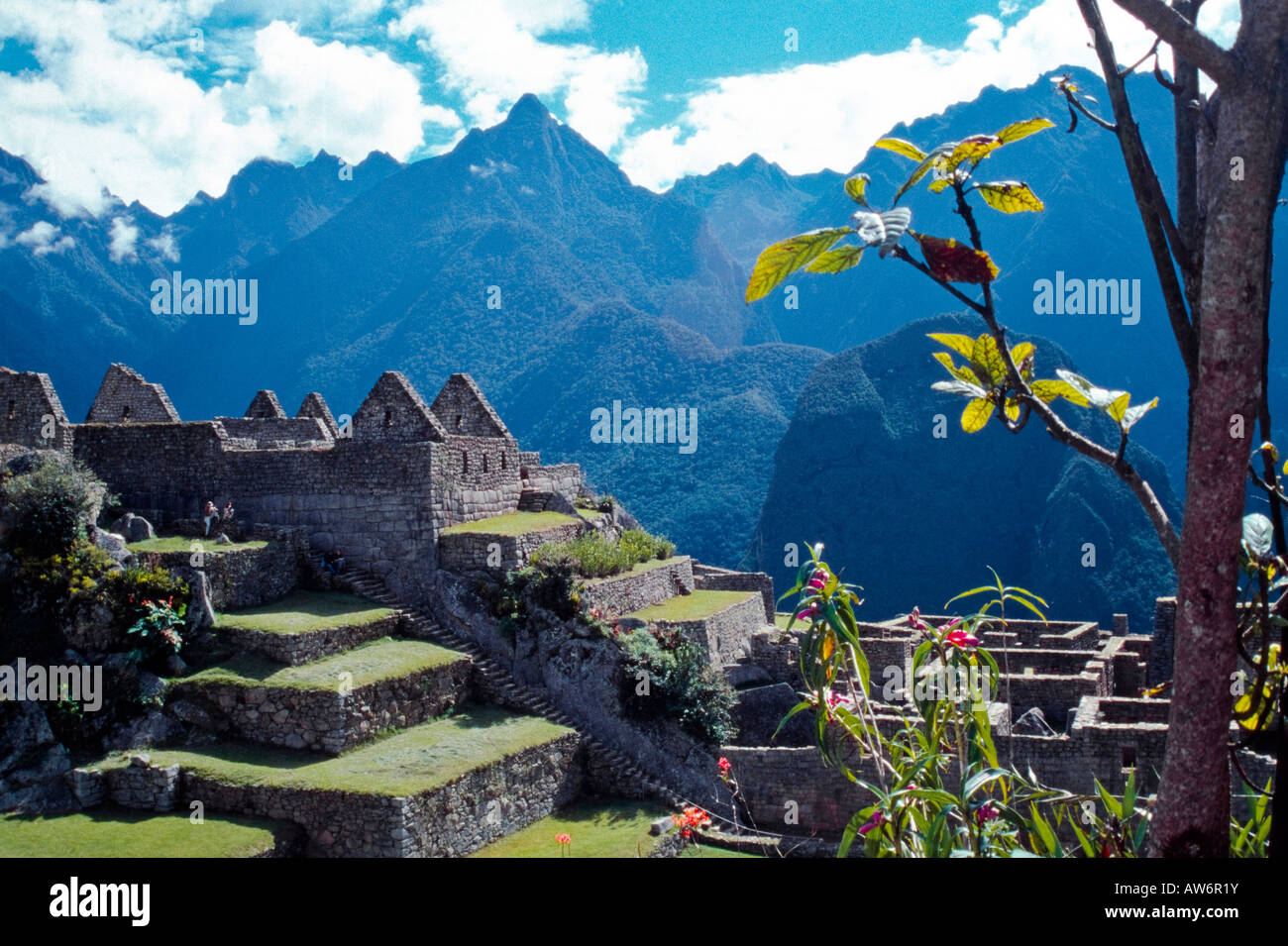 Machu Picchu, Peru, South America, pre-Columbian historical site Stock ...