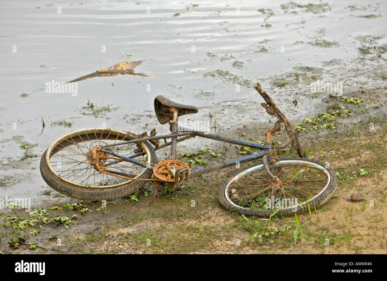 rusty old abandoned bike lying next to canal Stock Photo - Alamy