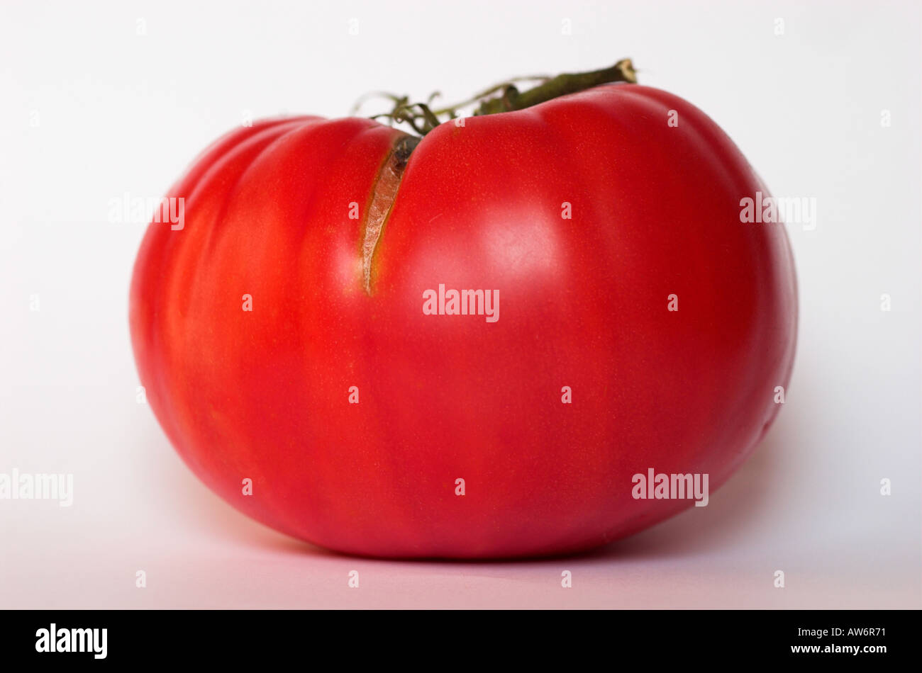 One organic tomato close up Stock Photo - Alamy