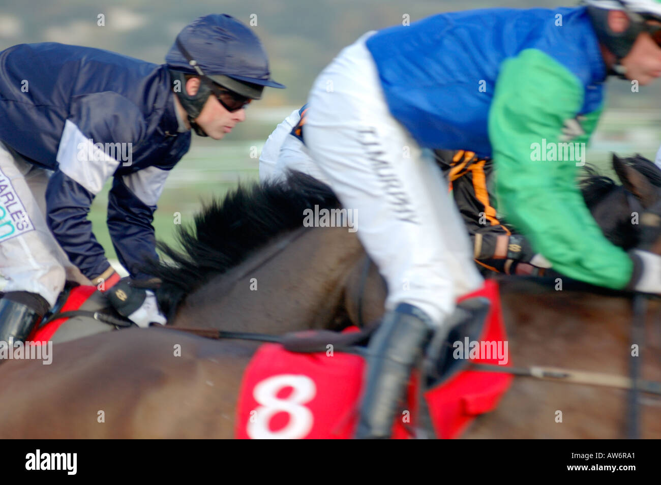 National Hunt horse race Stock Photo - Alamy