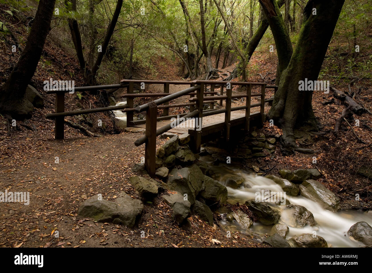 Walking bridge over creek in hi-res stock photography and images - Alamy