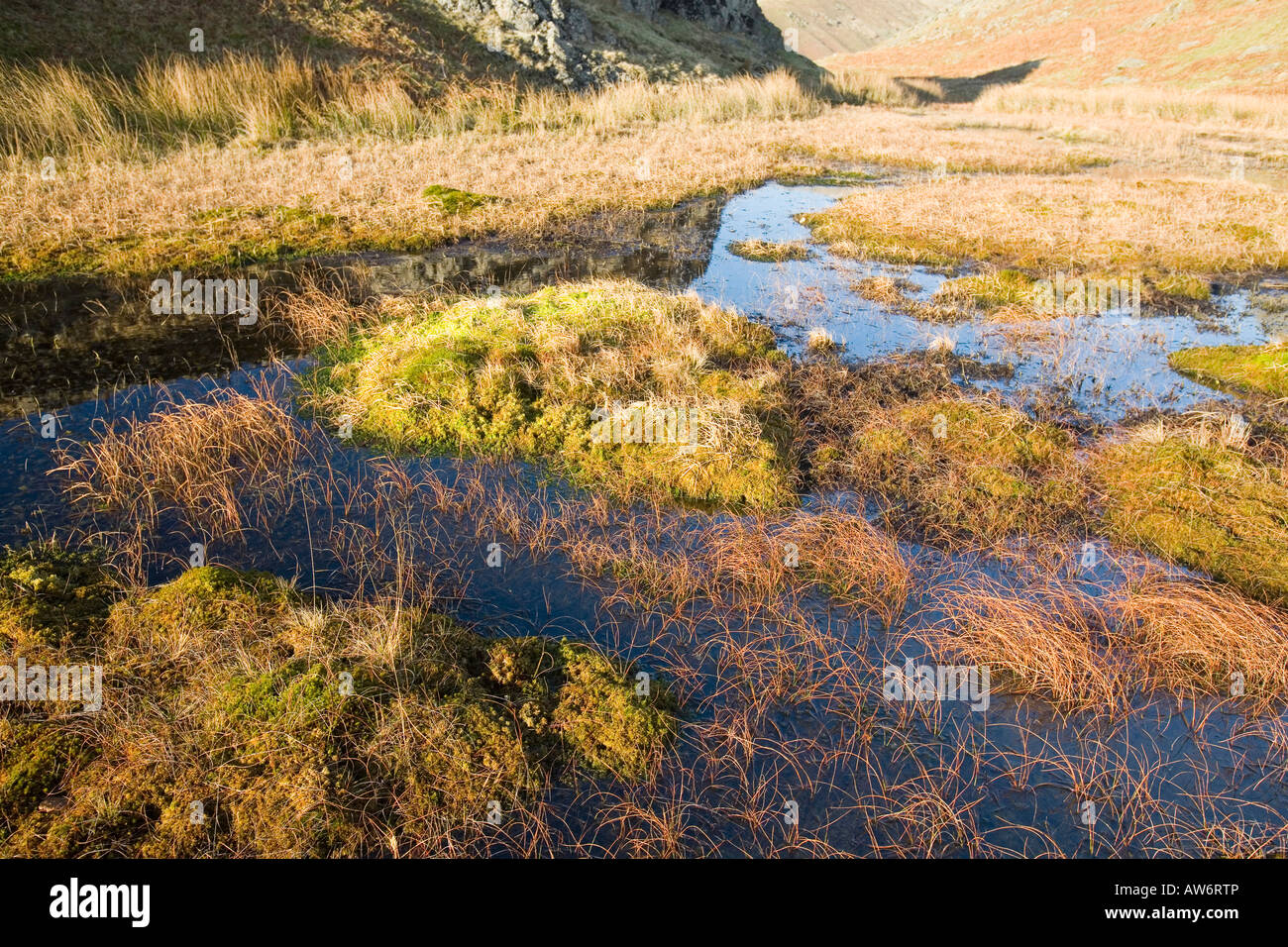 A peat bog on Fairfield in the Lake District National Park Peat bogs ...