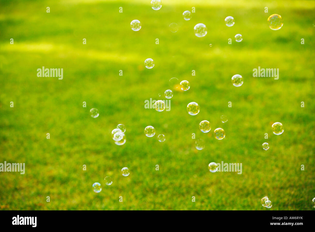 Grass bubbles hi-res stock photography and images - Alamy