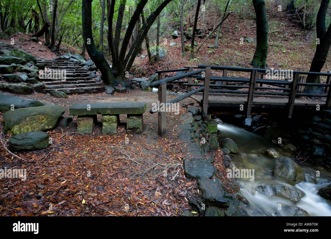 Bench bench along a trail in nojoqui park Stock Photo - Alamy