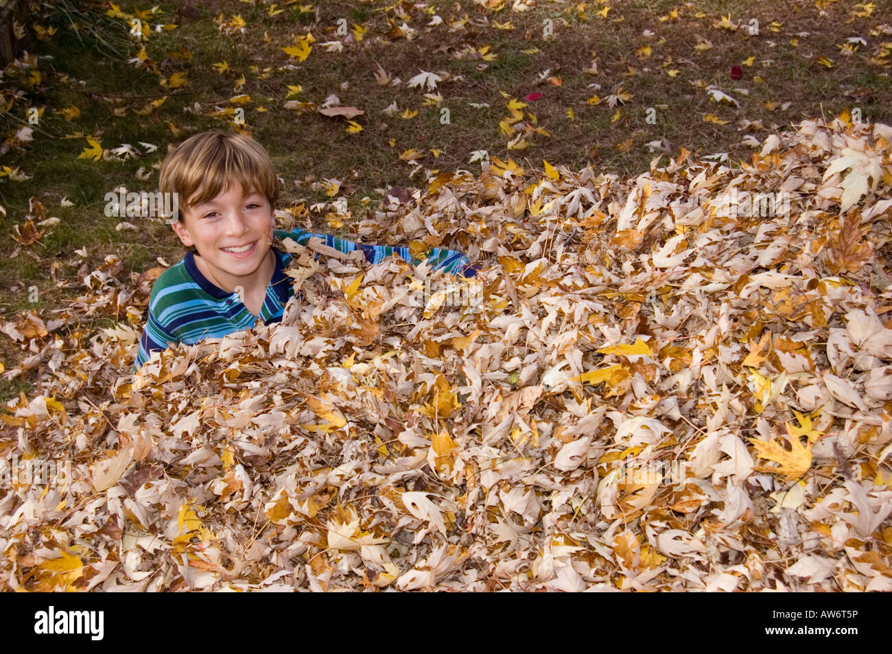 boy playing in a leaf pile Stock Photo - Alamy