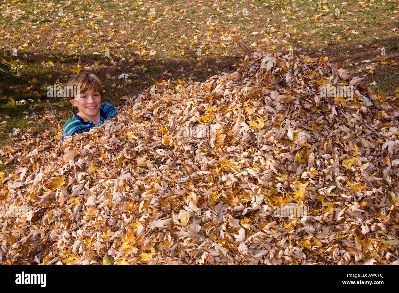 boy playing in a leaf pile Stock Photo - Alamy