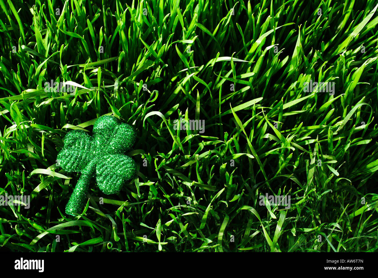 3 leaf clovers hi-res stock photography and images - Alamy