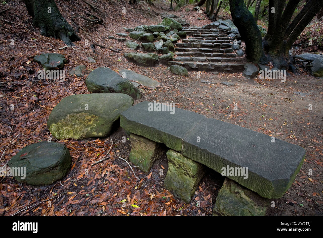 Bench bench along a trail in nojoqui park Stock Photo - Alamy