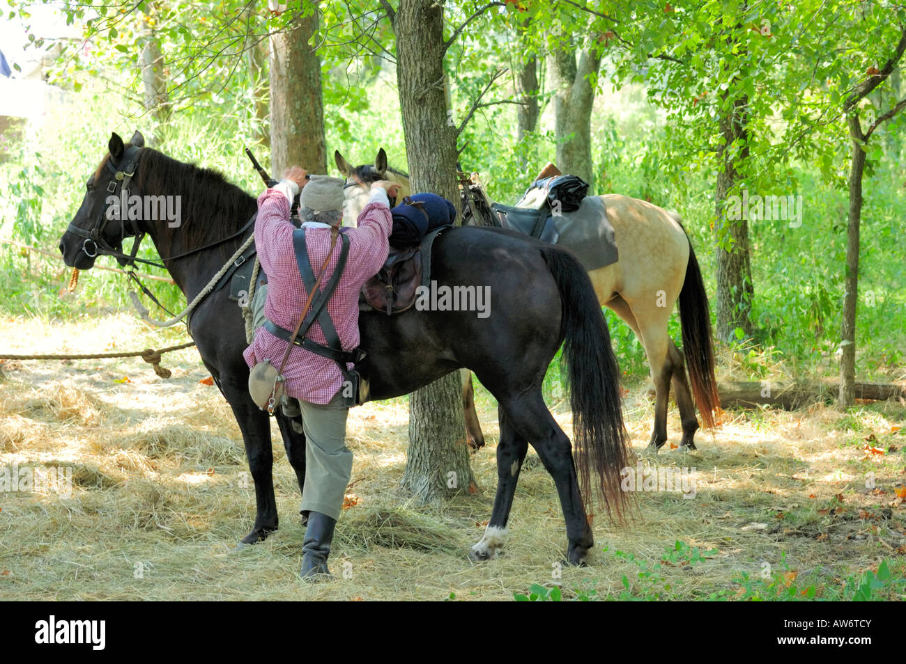 Confederate soldier mounting a tethered horse Stock Photo - Alamy