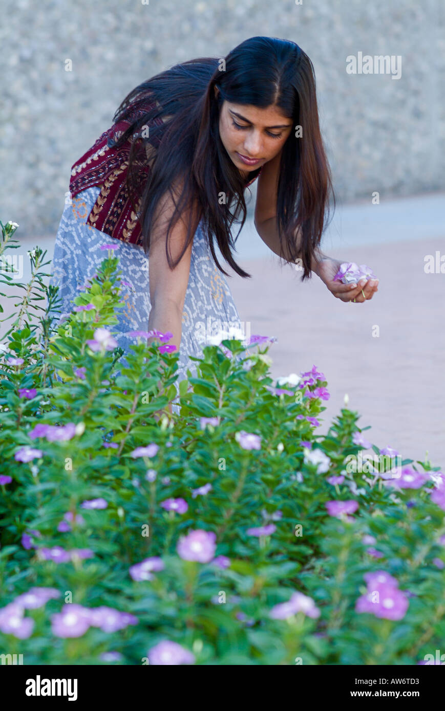 Woman picking flowers in park Stock Photo - Alamy