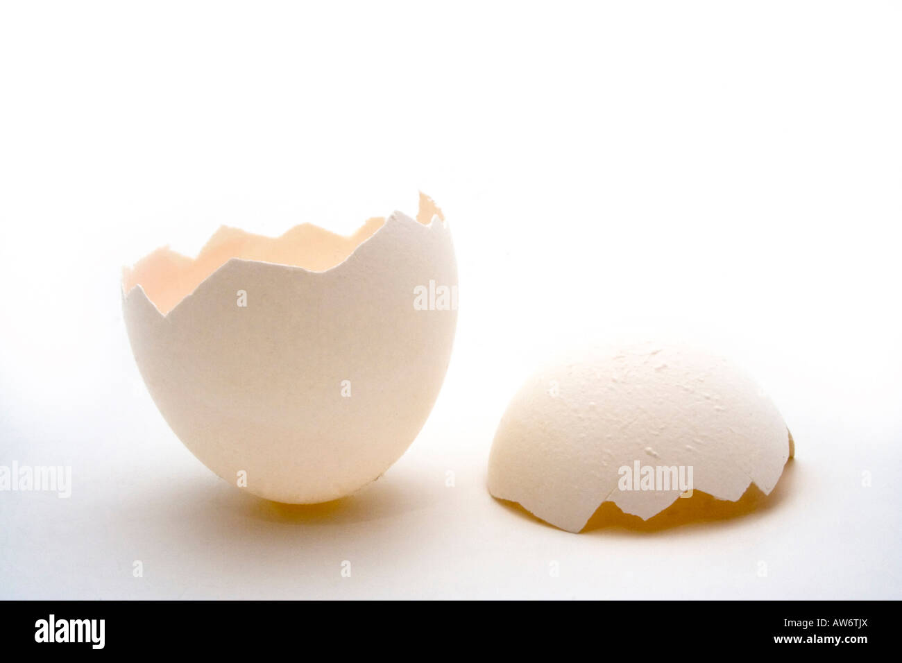 Broken Egg shell Stock Photo - Alamy