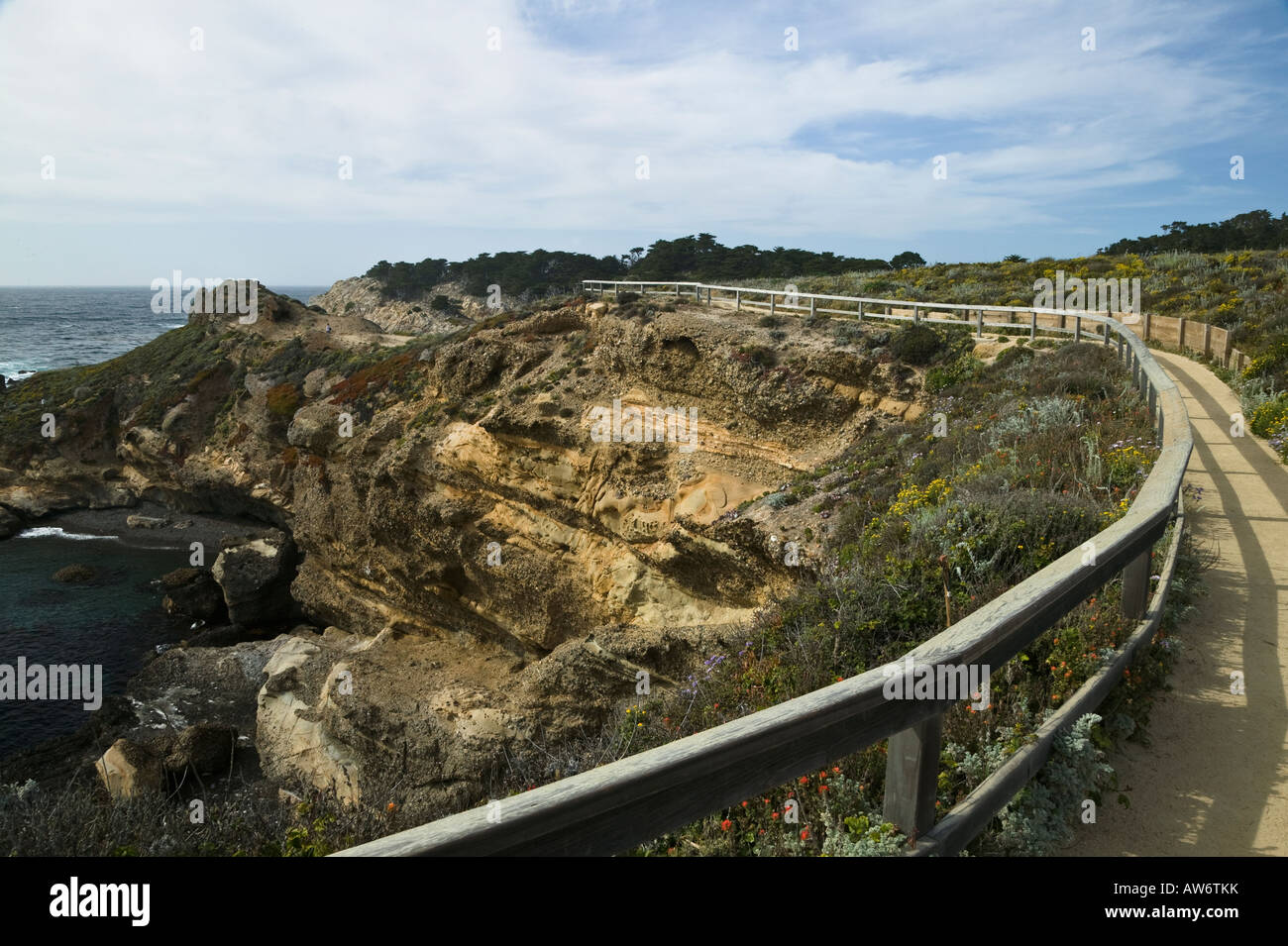 Trails Point Lobos State Reserve, California, USA Stock Photo - Alamy
