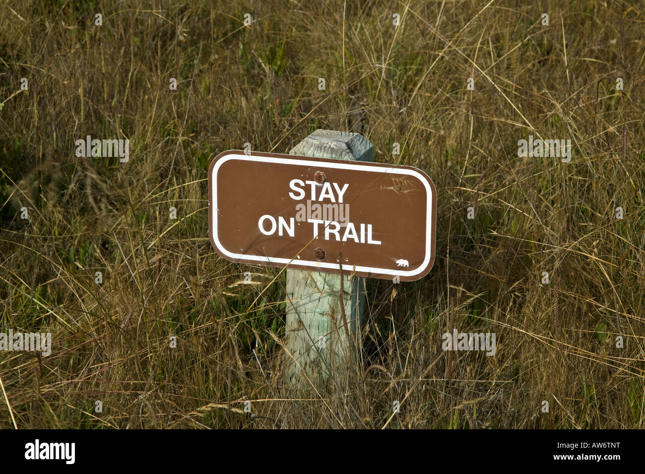 Stay on Trail sign Point Lobos State Reserve, California, USA Stock ...