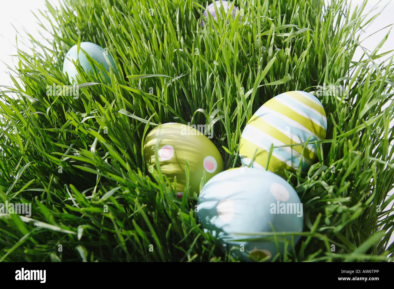 Grasses displays hi-res stock photography and images - Alamy