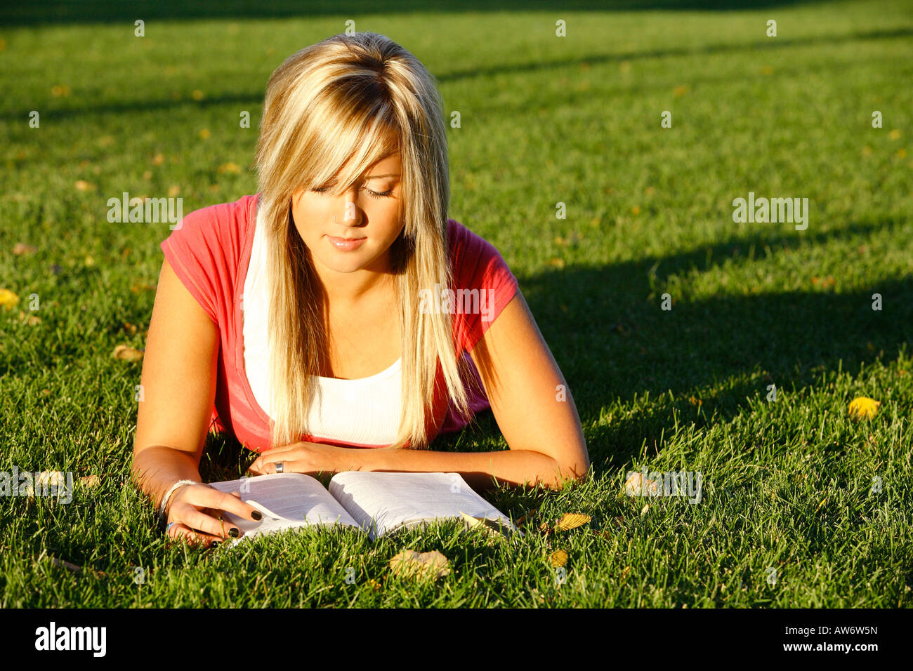 Portrait of a woman reading her Bible Stock Photo - Alamy