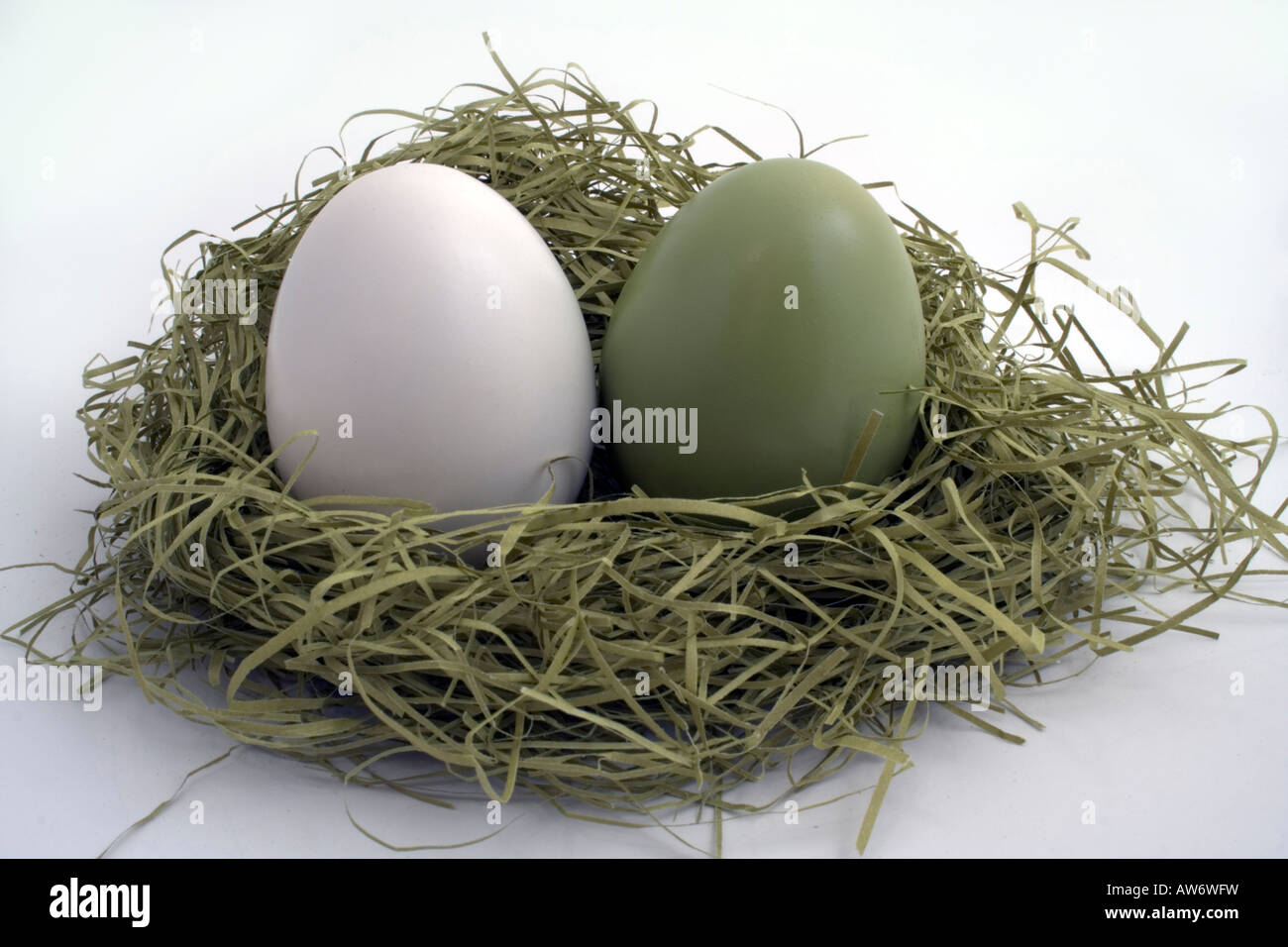 Two eggs in nest Stock Photo - Alamy