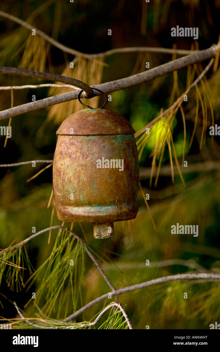 Prayer Bell hanging quietly in a pine tree Stock Photo - Alamy