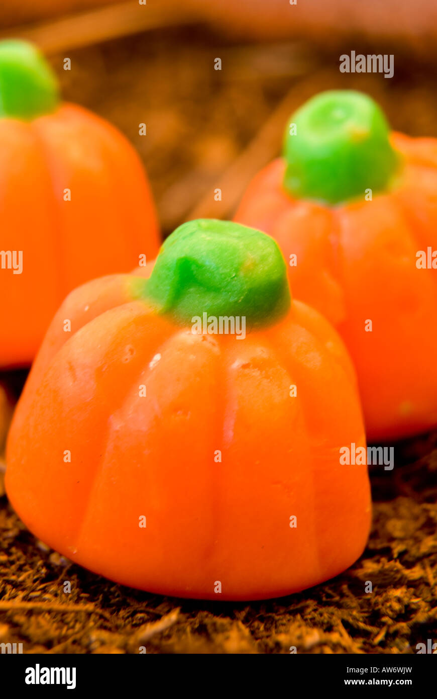 Candy Pumpkin Farm Stock Photo - Alamy