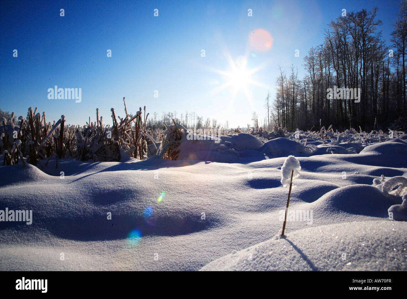 Covered field hi-res stock photography and images - Alamy