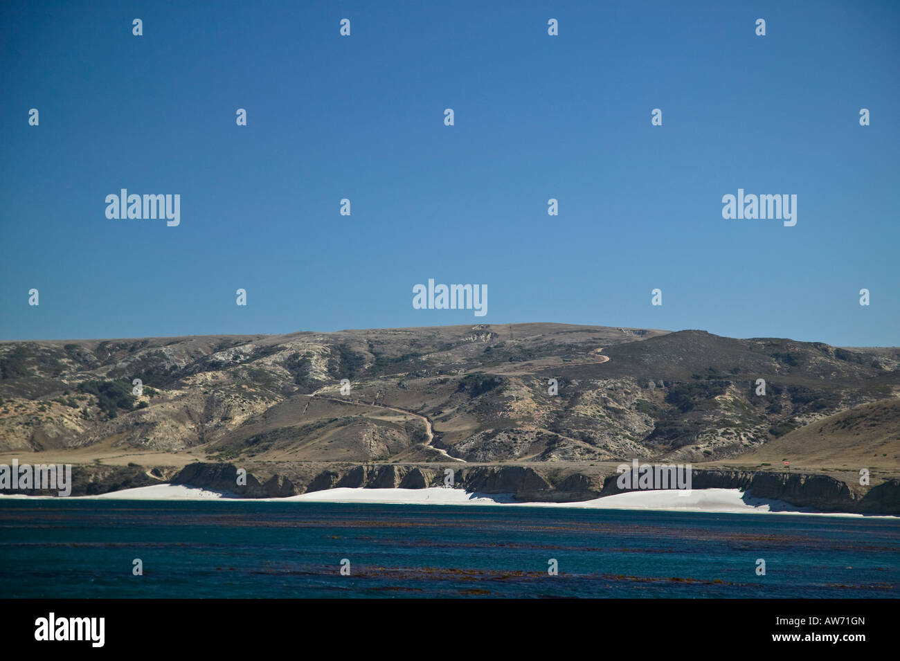 Santa Rosa Island Channel Islands, California, USA Stock Photo - Alamy