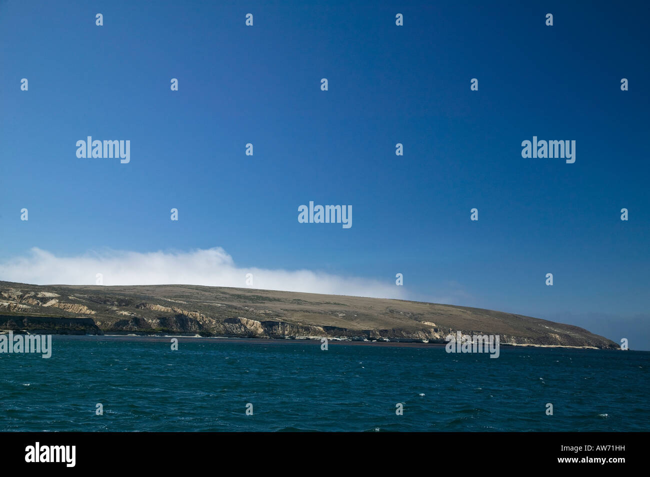 Santa Rosa Island Channel Islands, California, USA Stock Photo - Alamy