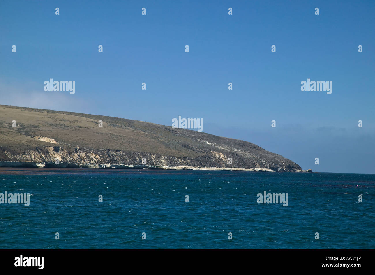 Santa Rosa Island Channel Islands, California, USA Stock Photo - Alamy