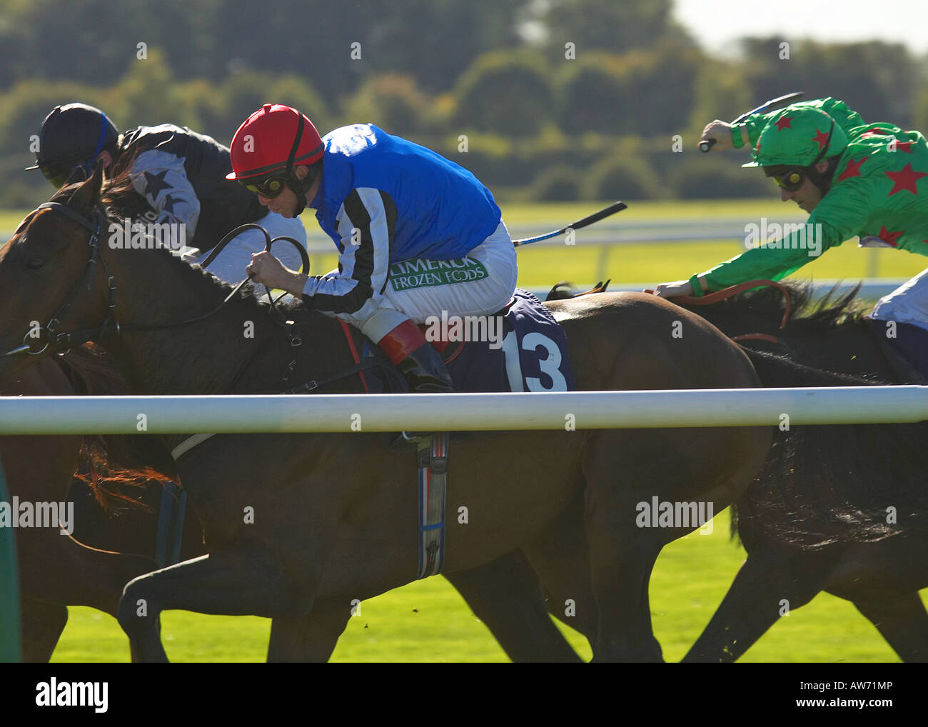 A horse race in action Stock Photo - Alamy
