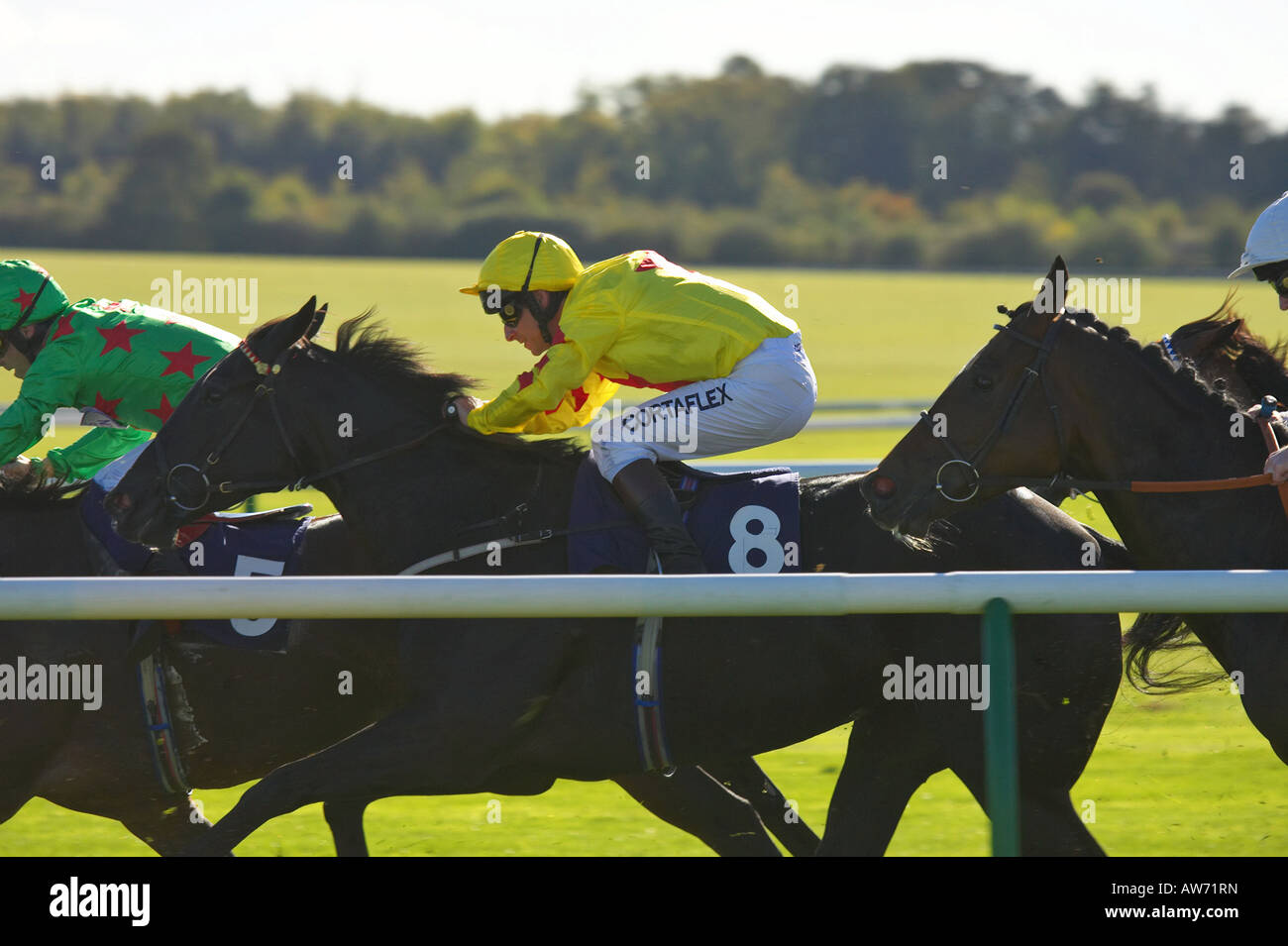 A horse race in action Stock Photo - Alamy