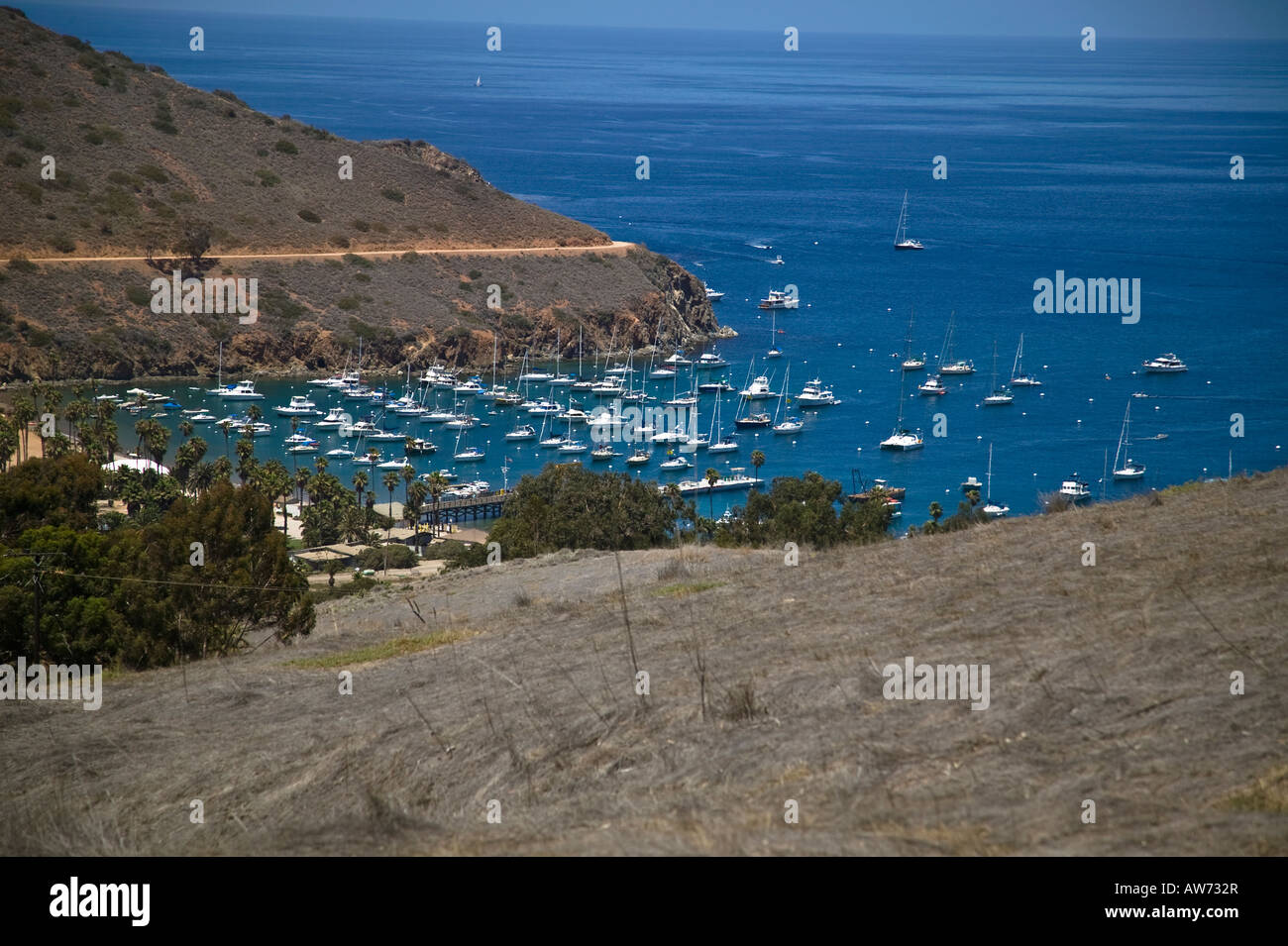 Two Harbors, Santa Catalina Island Channel Islands, California, USA ...