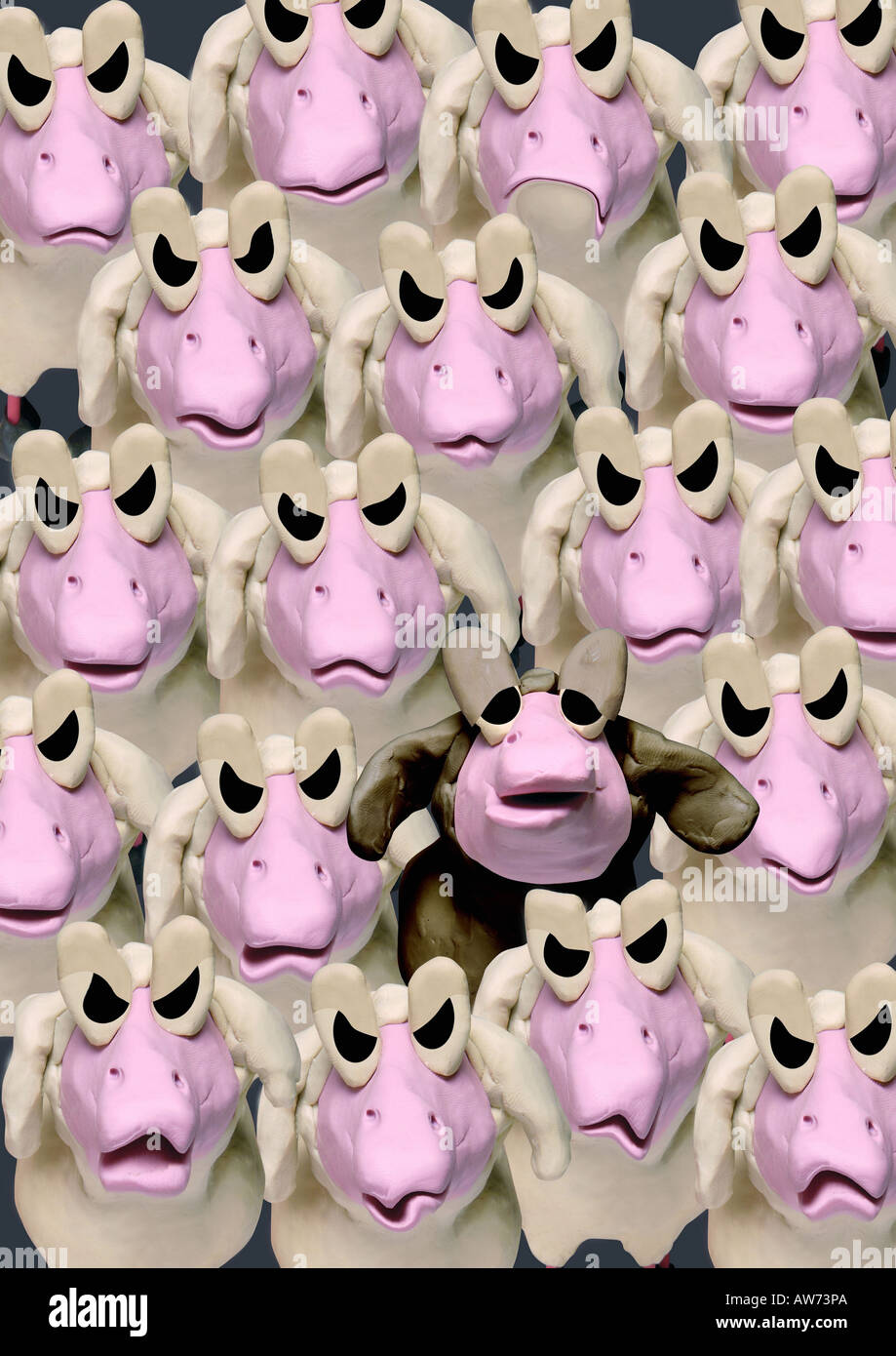 Group of angry sheep and one black sheep Stock Photo - Alamy