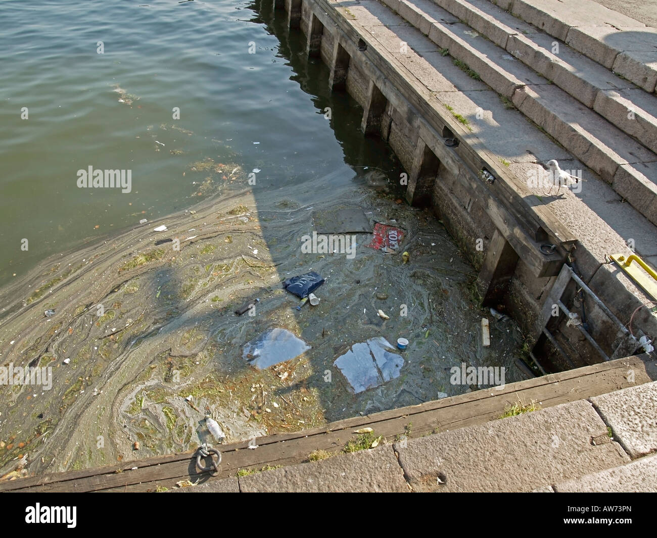 dirty water with waste in port basin in Helsinki Finland Stock Photo ...