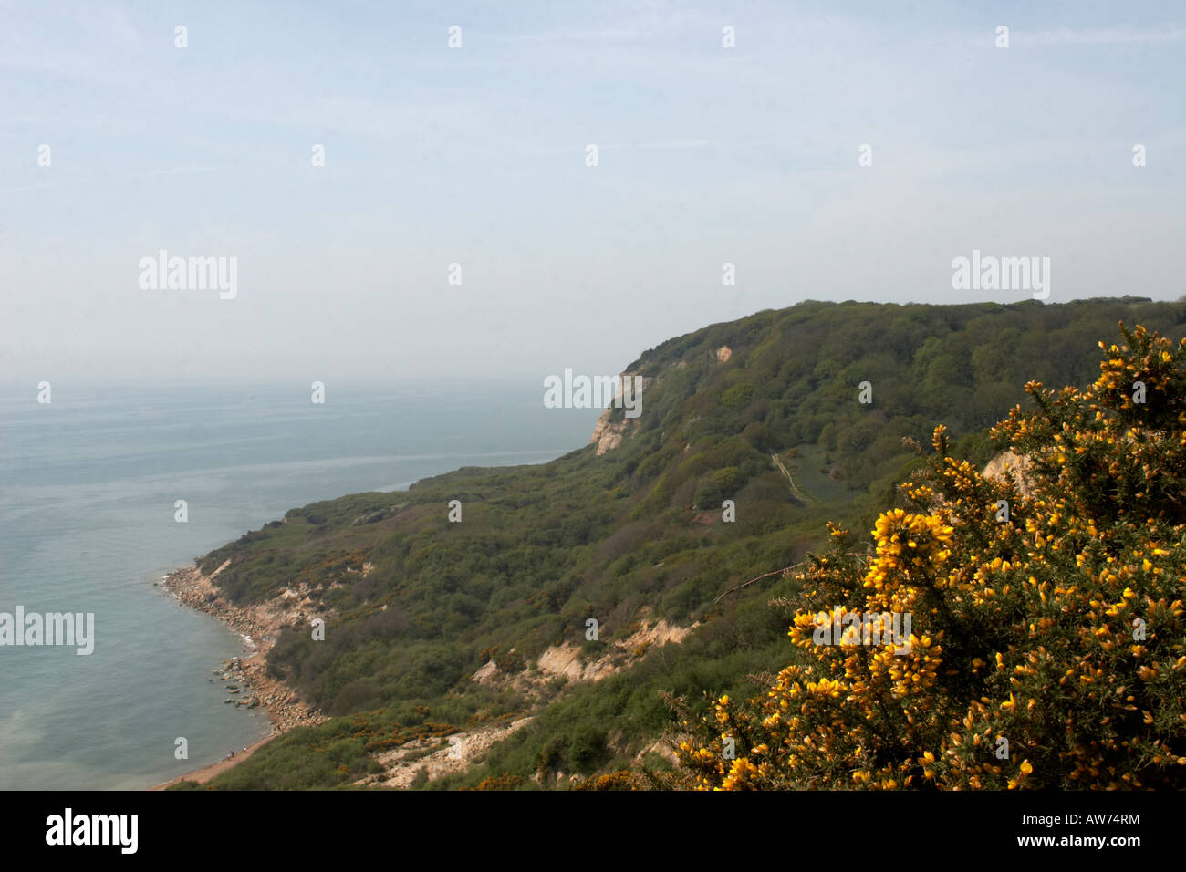 Hastings Country Park in spring Stock Photo - Alamy