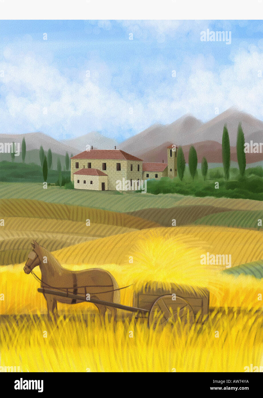 Horse and cart full of hay in fields of a farm Stock Photo - Alamy