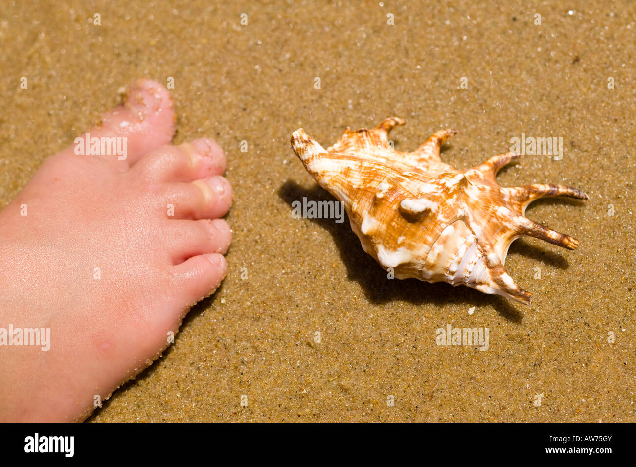 Kids feet beach tropical hi-res stock photography and images - Alamy