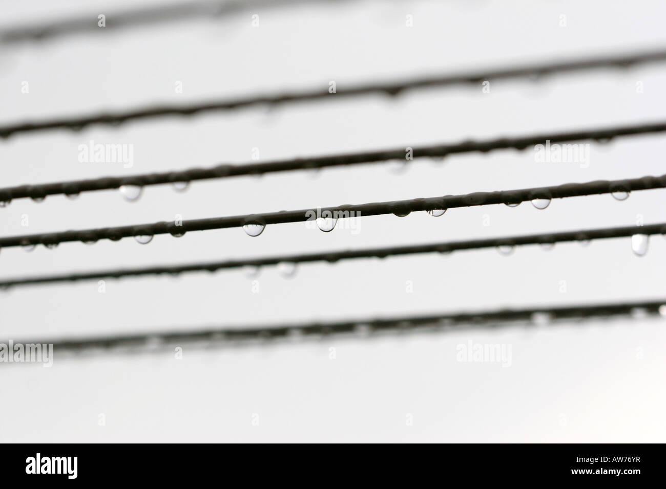 Water droplets collected on washing line Stock Photo - Alamy