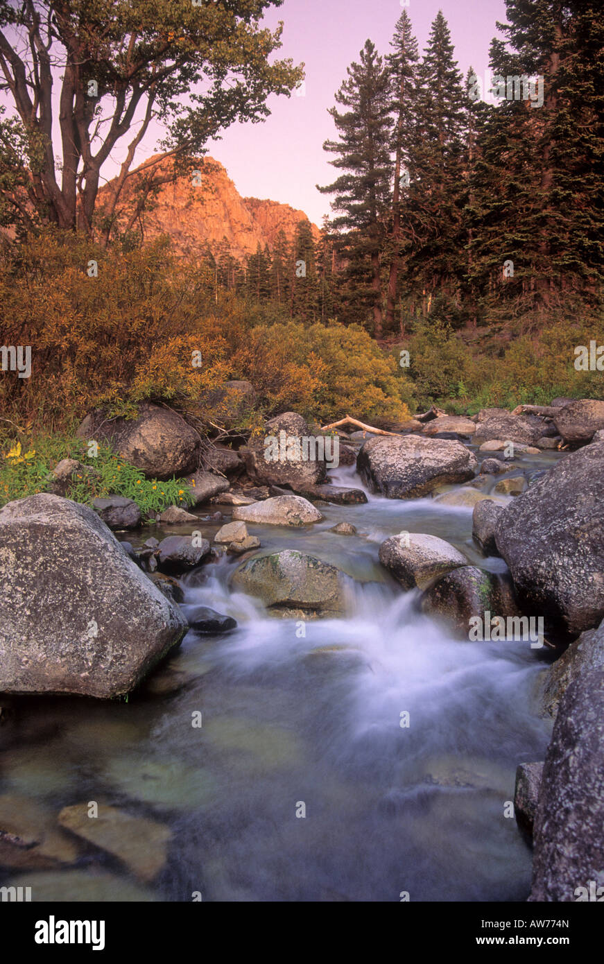 Alpenglow over Deadman Creek near Chipmunk Flat, Stanislaus National ...
