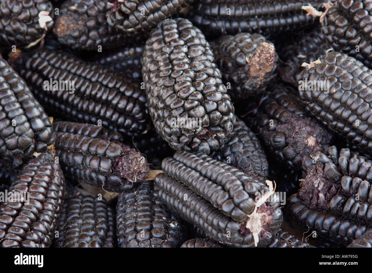 corn chicha maiz Peru Stock Photo - Alamy