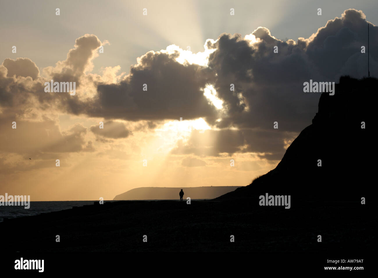 Silver and blue walker hi-res stock photography and images - Alamy