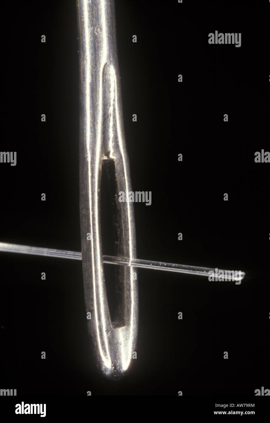 Glass fibre passing through the eye of a needle Stock Photo - Alamy