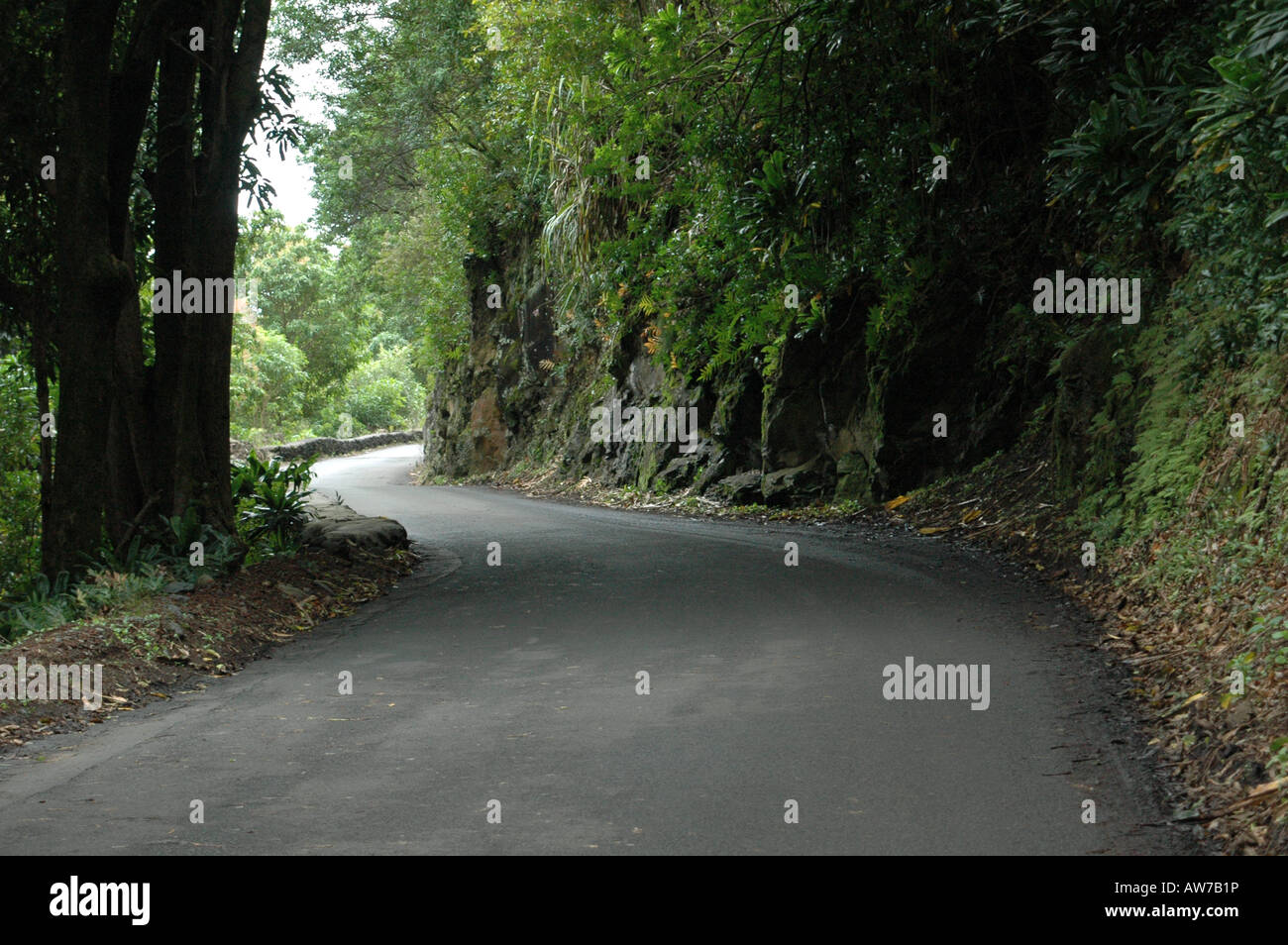 Road to Hana Stock Photo - Alamy